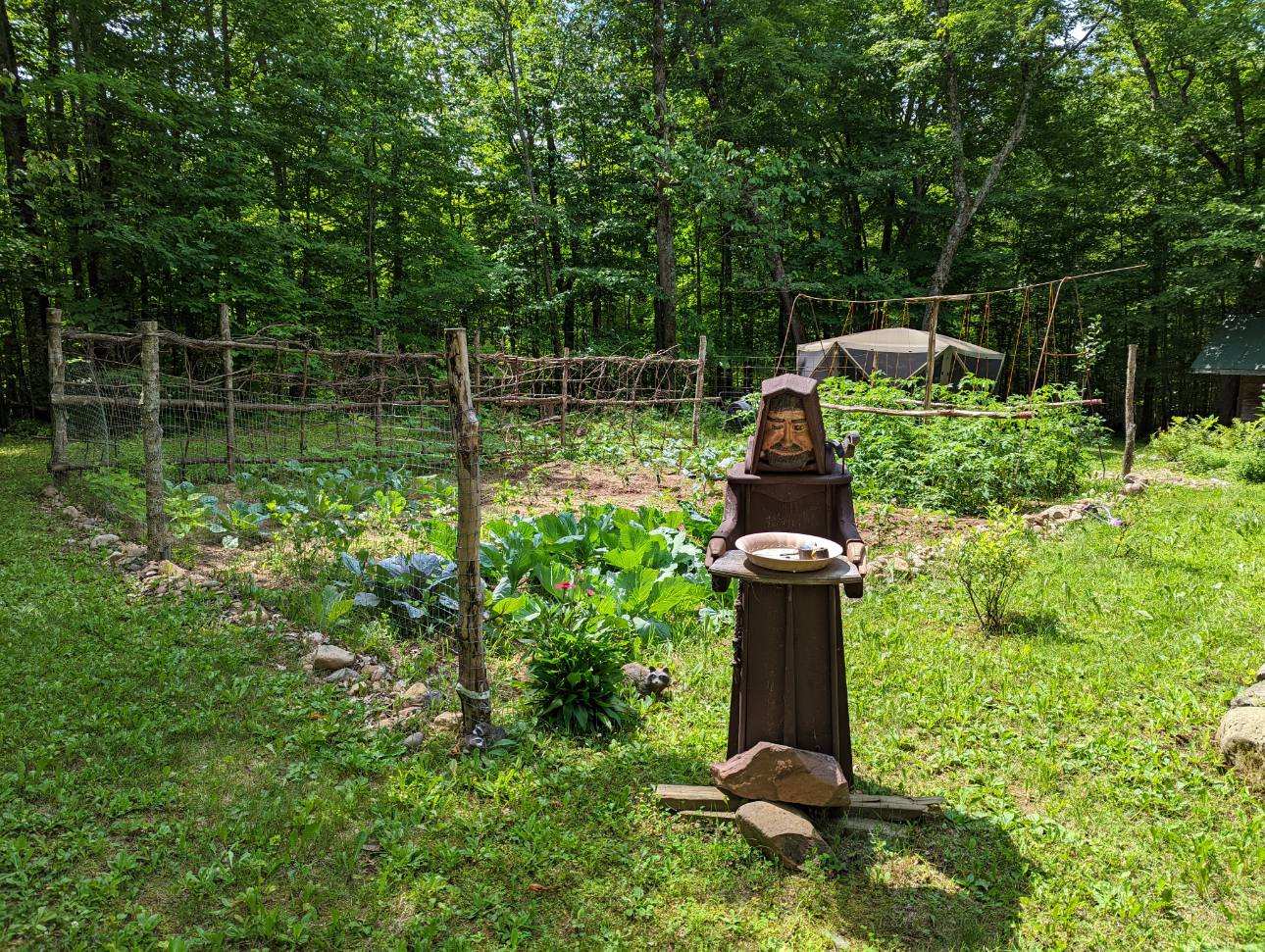 July 2022 Garden Update – The Homestead Shed