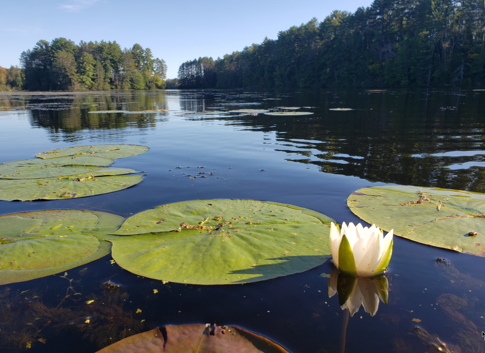 West Point Campground on the Mondeaux Flowage – The Homestead Shed